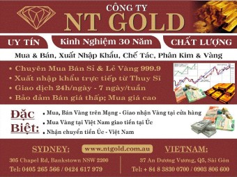 NT GOLD AU PTY LTD